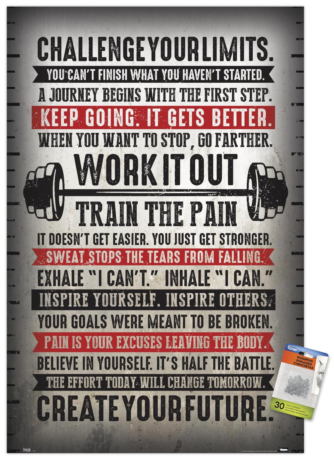 Challenge Your Limits Wall Poster with Push Pins, 22.375" x 34 ...
