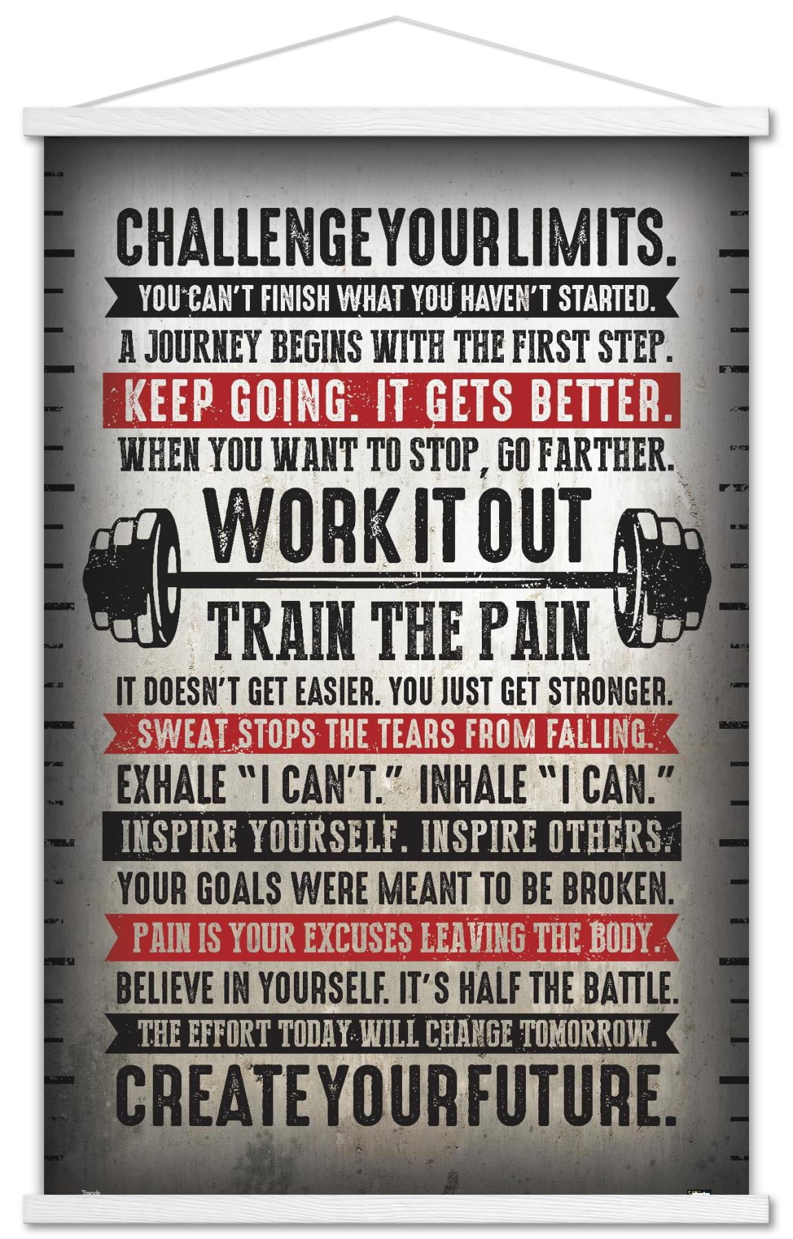 Challenge Your Limits Wall Poster with Magnetic Frame, 22.375" x 34 ...