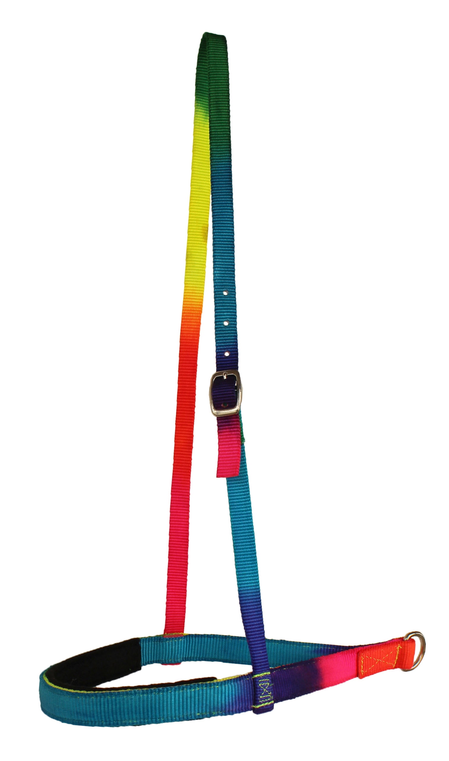 Rainbow Horse Tack