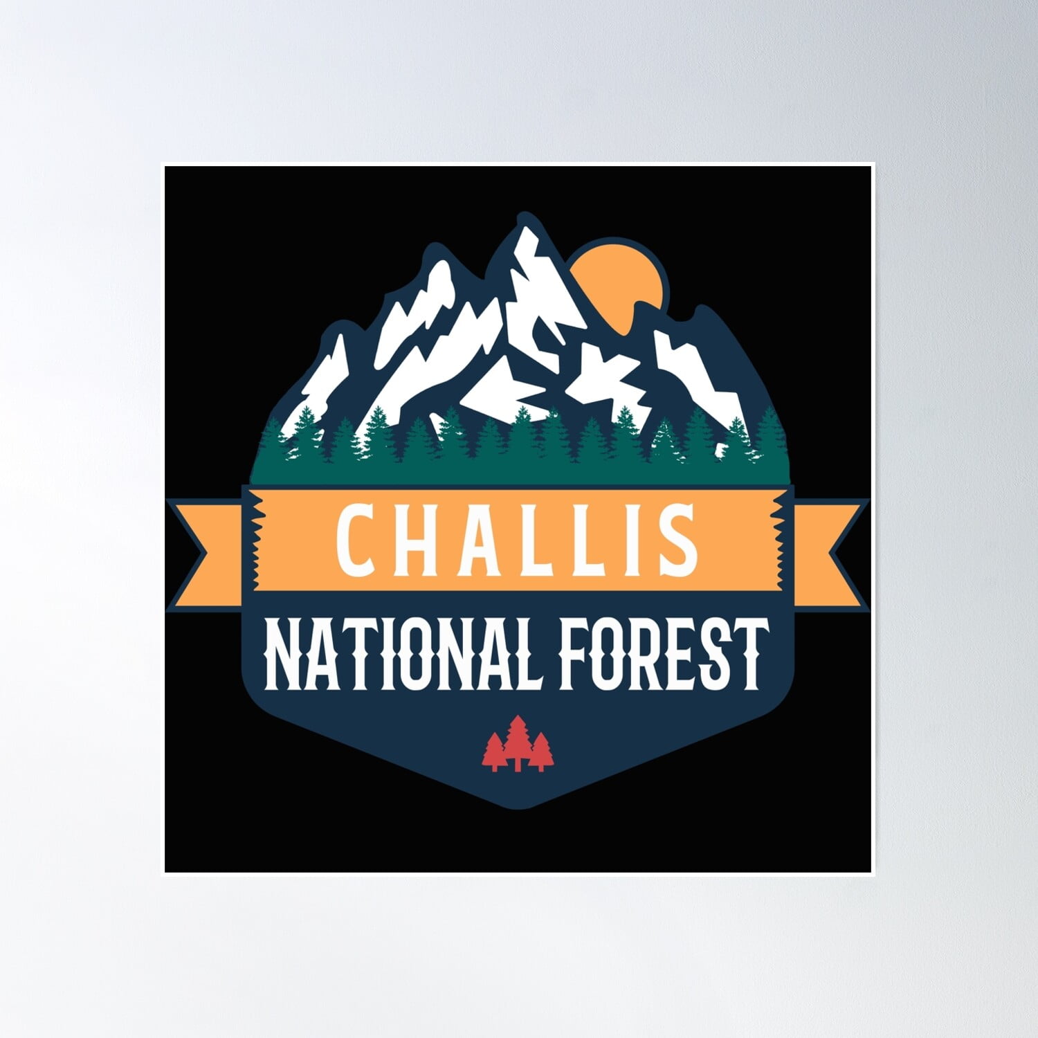 Challis National Forest Poster Wall Art, Modern Wall Decor, 16x16 ...