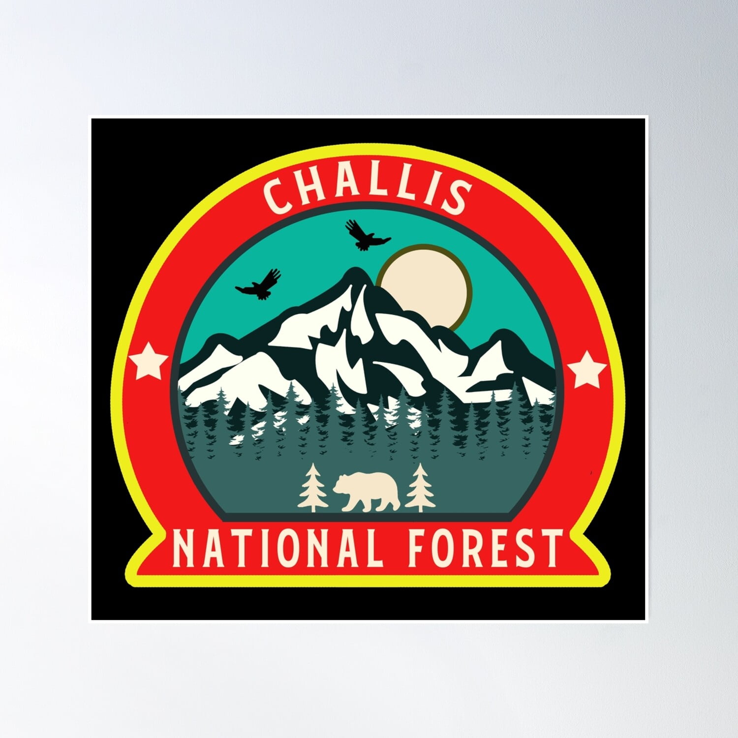 Challis National Forest Poster Wall Art, Modern Wall Decor, 8x12 ...
