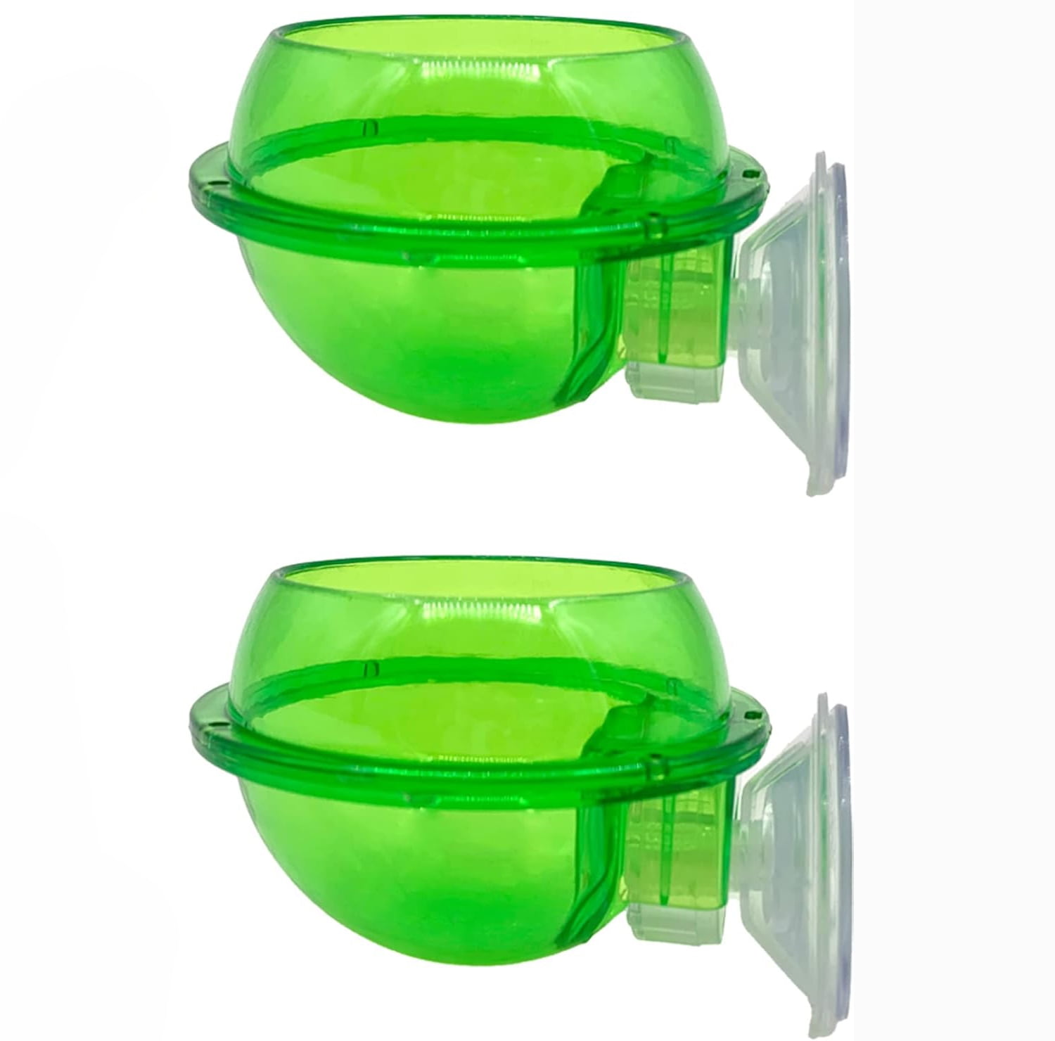 Chameleon Feeding Bowl with Suction Cup, Reptiles Feeder Water Bowls ...