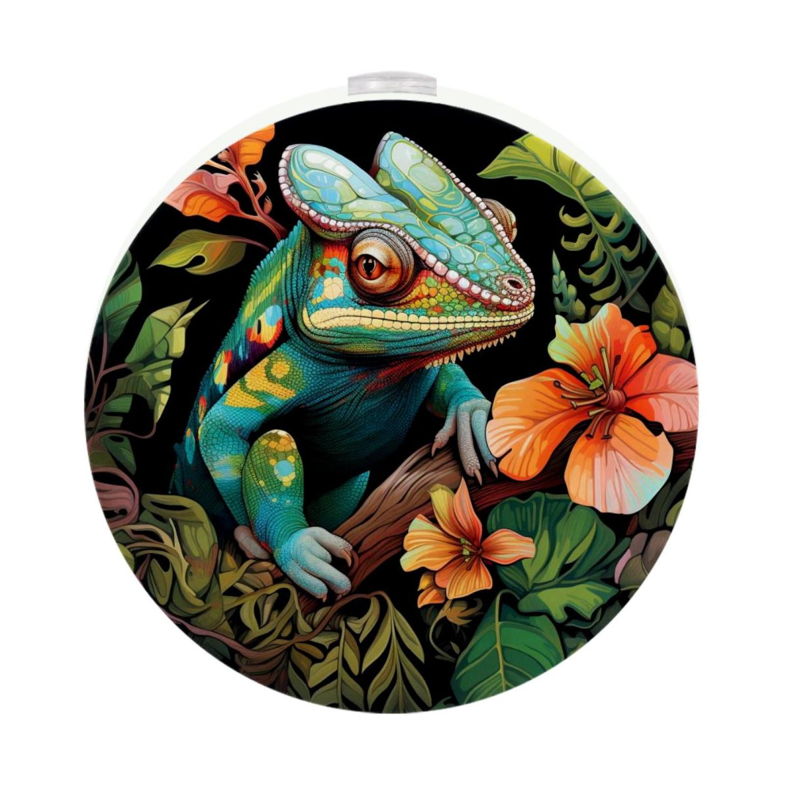 Chameleon LED Round Night Light - 2PCS, Plug-in Dusk-to-Dawn Sensor ...