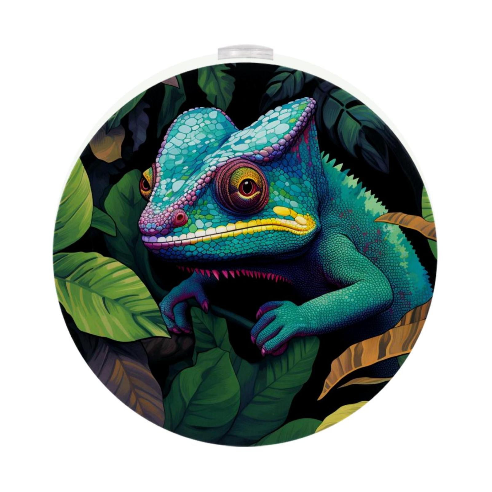 Chameleon LED Round Night Light-2PCS, Plug-in Mini Wall Socket Soft ...