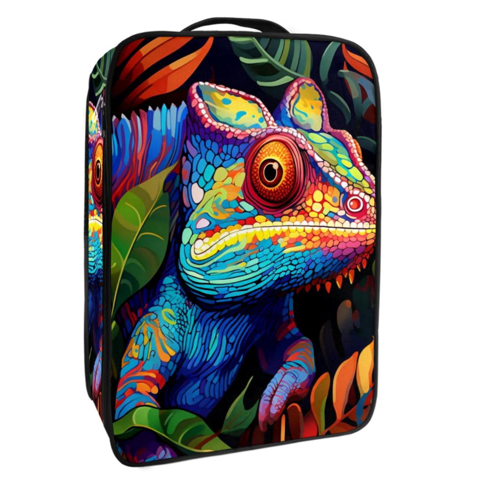Chameleon Polyester Shoe Organizer - Durable Shoe Boxes for Easy ...
