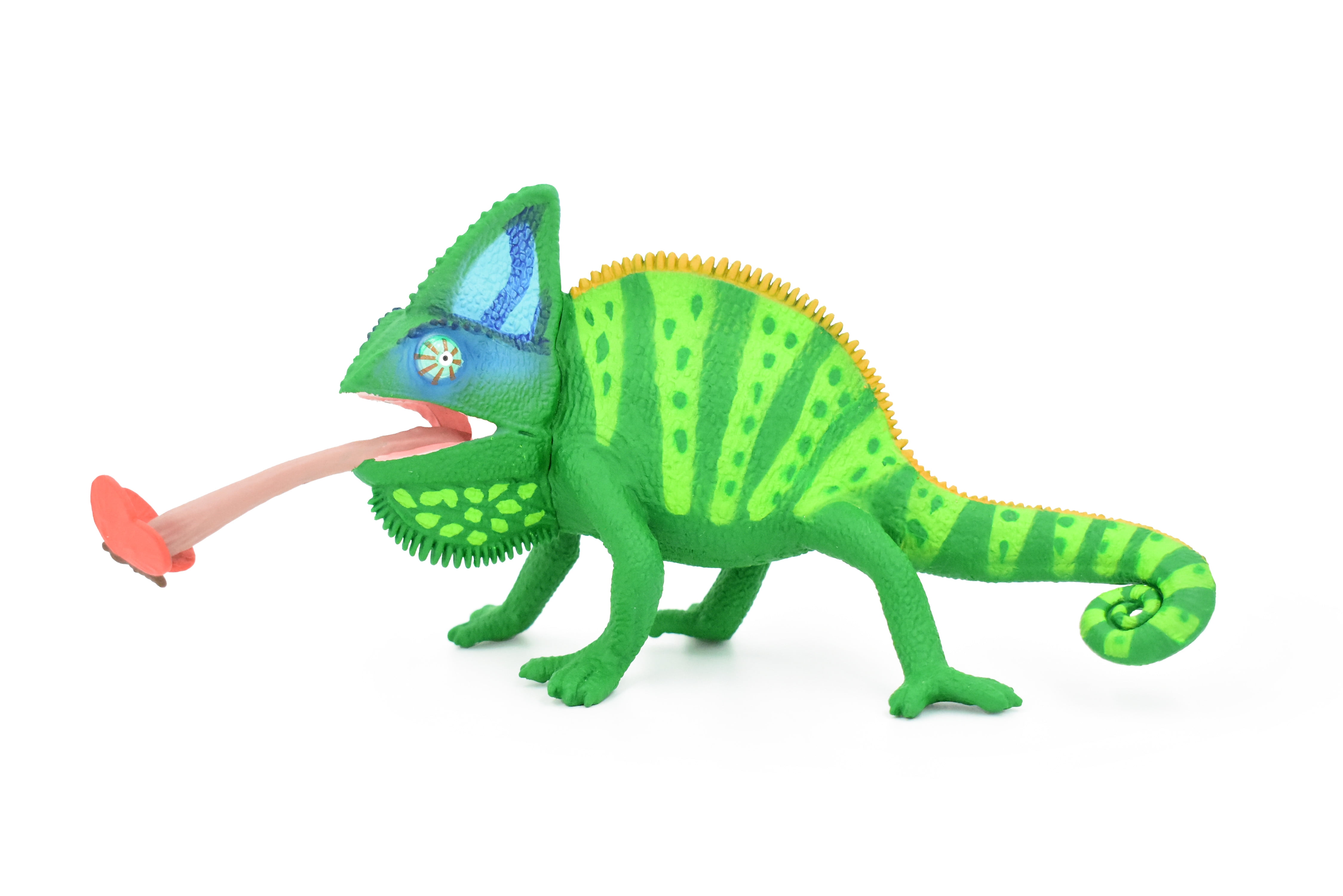 Chameleon, Veiled Chameleon, Museum Quality Rubber Lizard, Educational ...