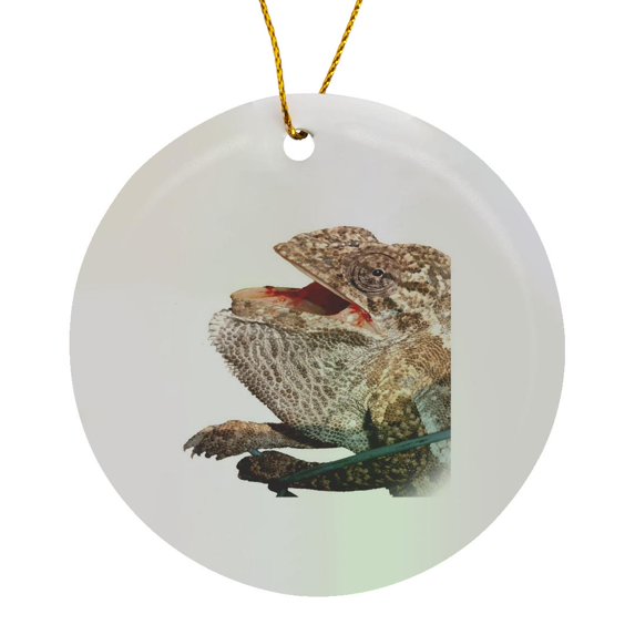 3drose, Chameleon with Open Mouth Nerdy Reptile Photograph Cut Out ...