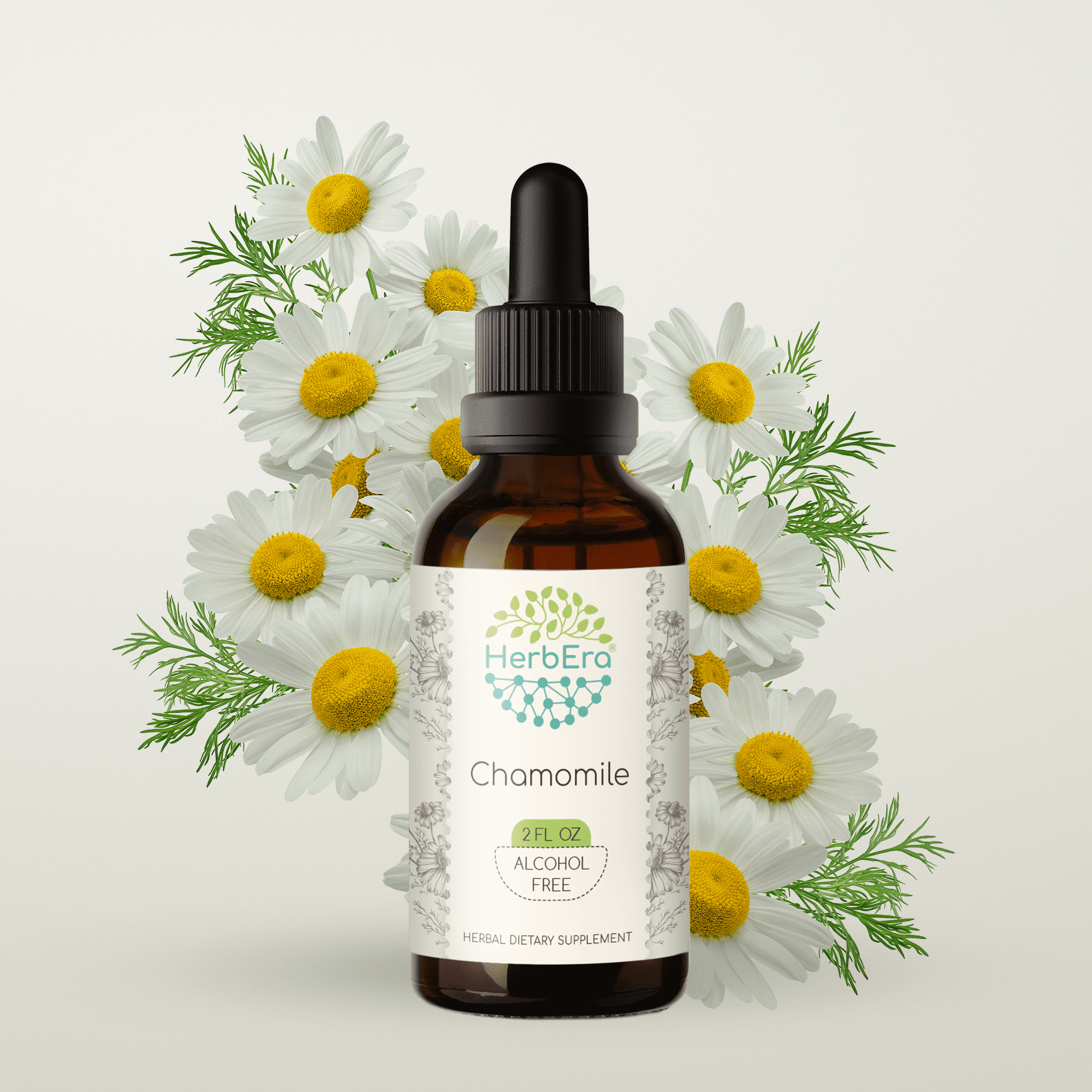 Chamomile Alcohol-FREE Herbal Extract Tincture, Super-Concentrated ...