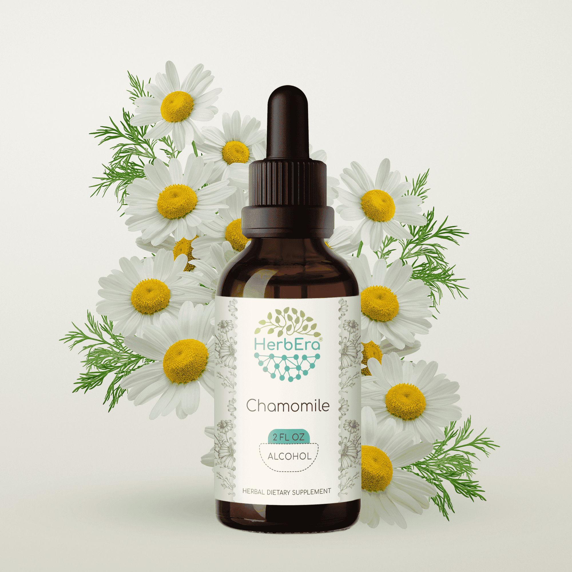 HerbEra Chamomile Tincture, Herbal Dietary Supplement for Digestive Support, Chamomile ...