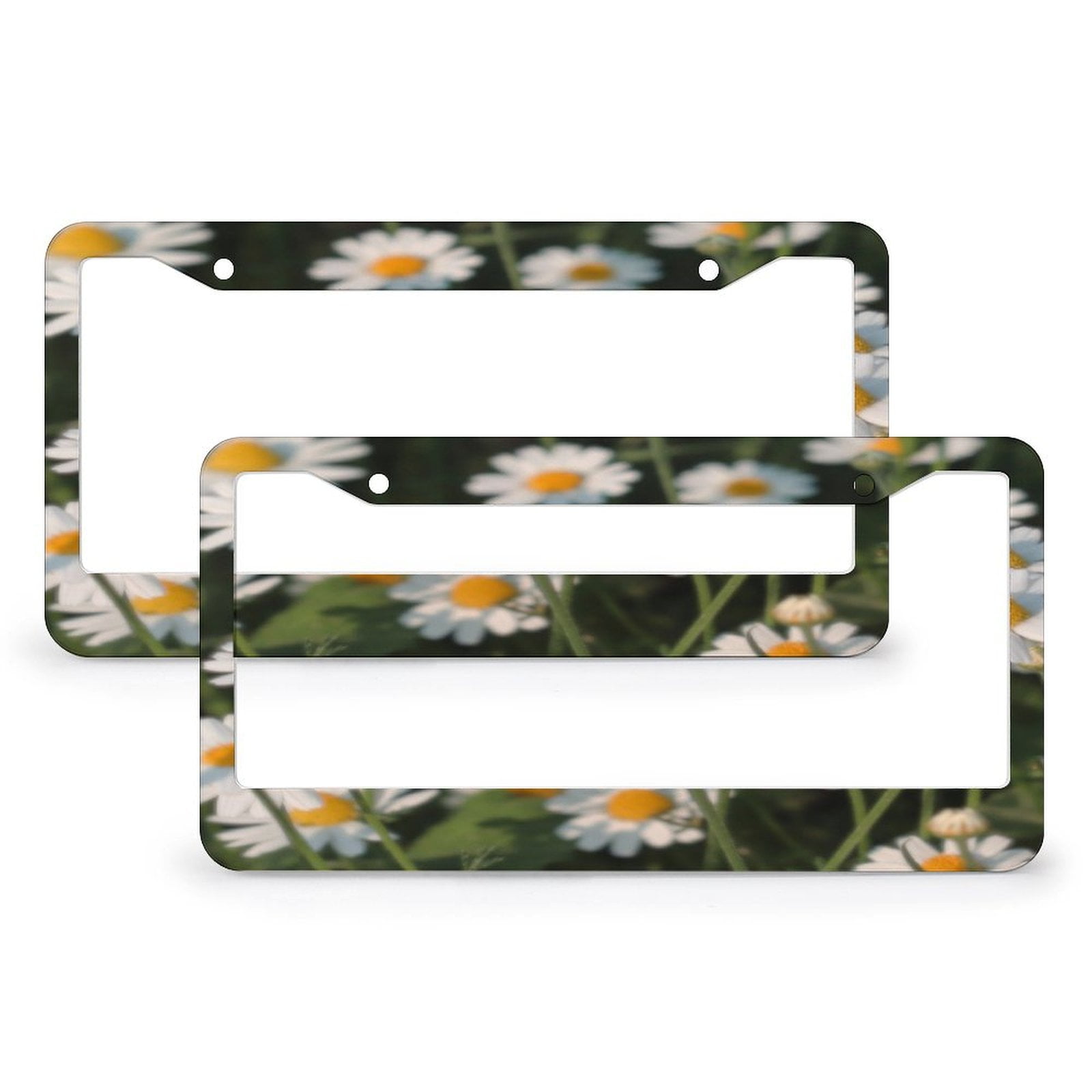 Chamomile Flowers Field License Plate Frame - 2 Pack License Plate ...