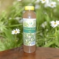 Gingerly Ginger Tea- Chamomile Ginger - Walmart.com