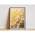 Chamomile Meadow Summer Flowers White Daisy Golden Hour Field Botanical ...