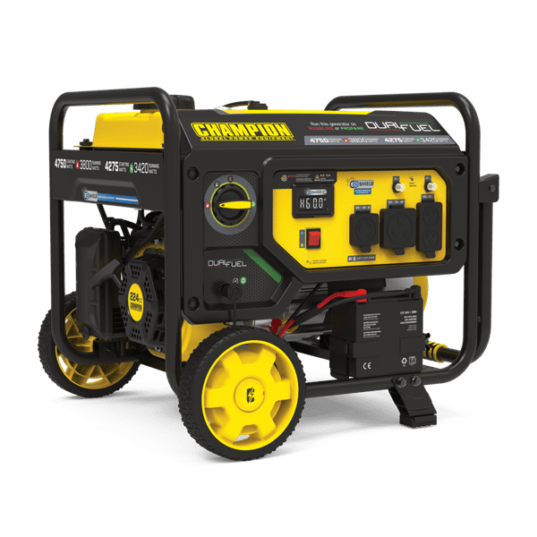 Champion 3800-Watt Electric Start Dual Fuel RV Ready Portable Generator ...
