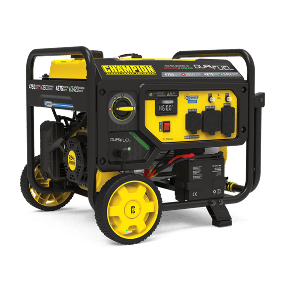 Champion 3800-Watt Electric Start Dual Fuel RV Ready Portable Generator ...