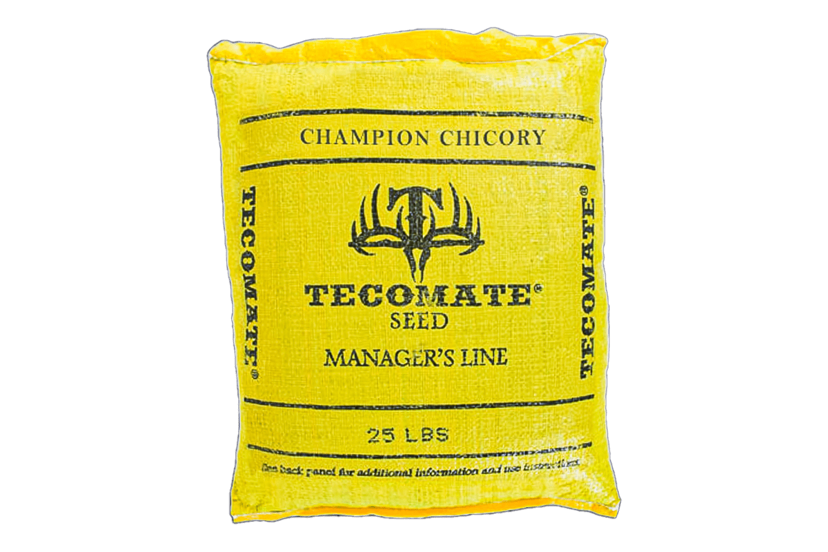 Champion Chicory — Deer Food Plot Seed - Walmart.com