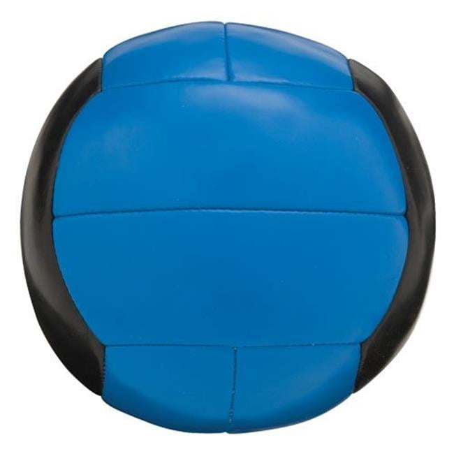 Champion Medicine Ball, Blue - Walmart.com