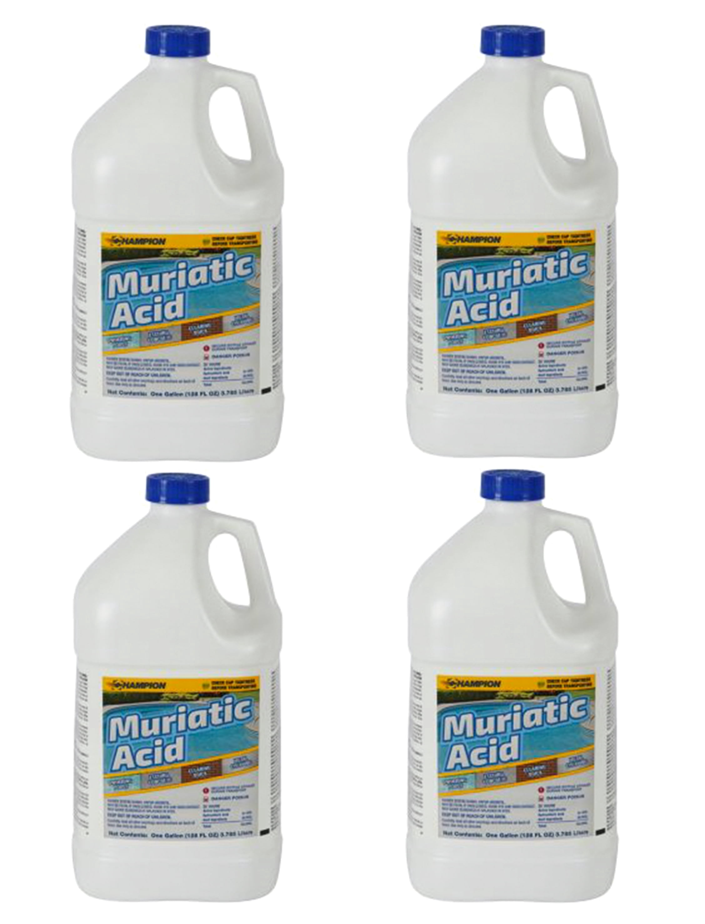 Champion Muriatic Acid for Swimming Pools & Spas - Lower's pH/pH ...