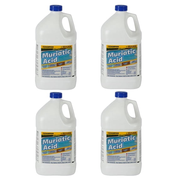 Champion Muriatic Acid for Swimming Pools & Spas - Lower's pH/pH ...