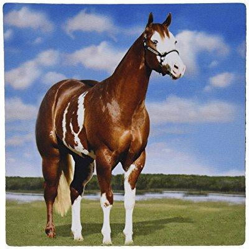 Champion Paint Quarter Horse MousePad mp-3536-1 - Walmart.com