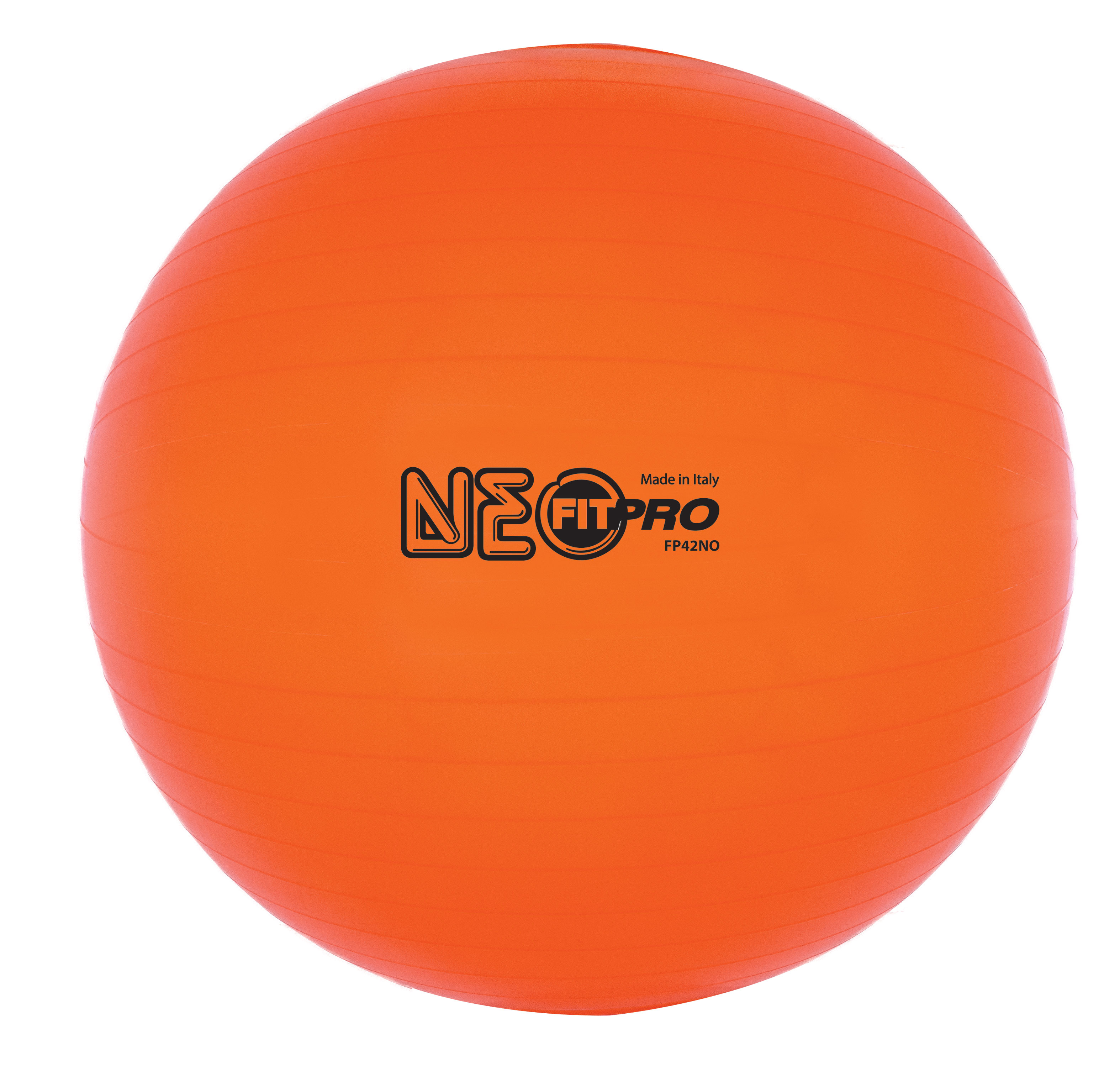 Champion Sports 42 cm Fitpro Training & Exercise Ball - Walmart.com