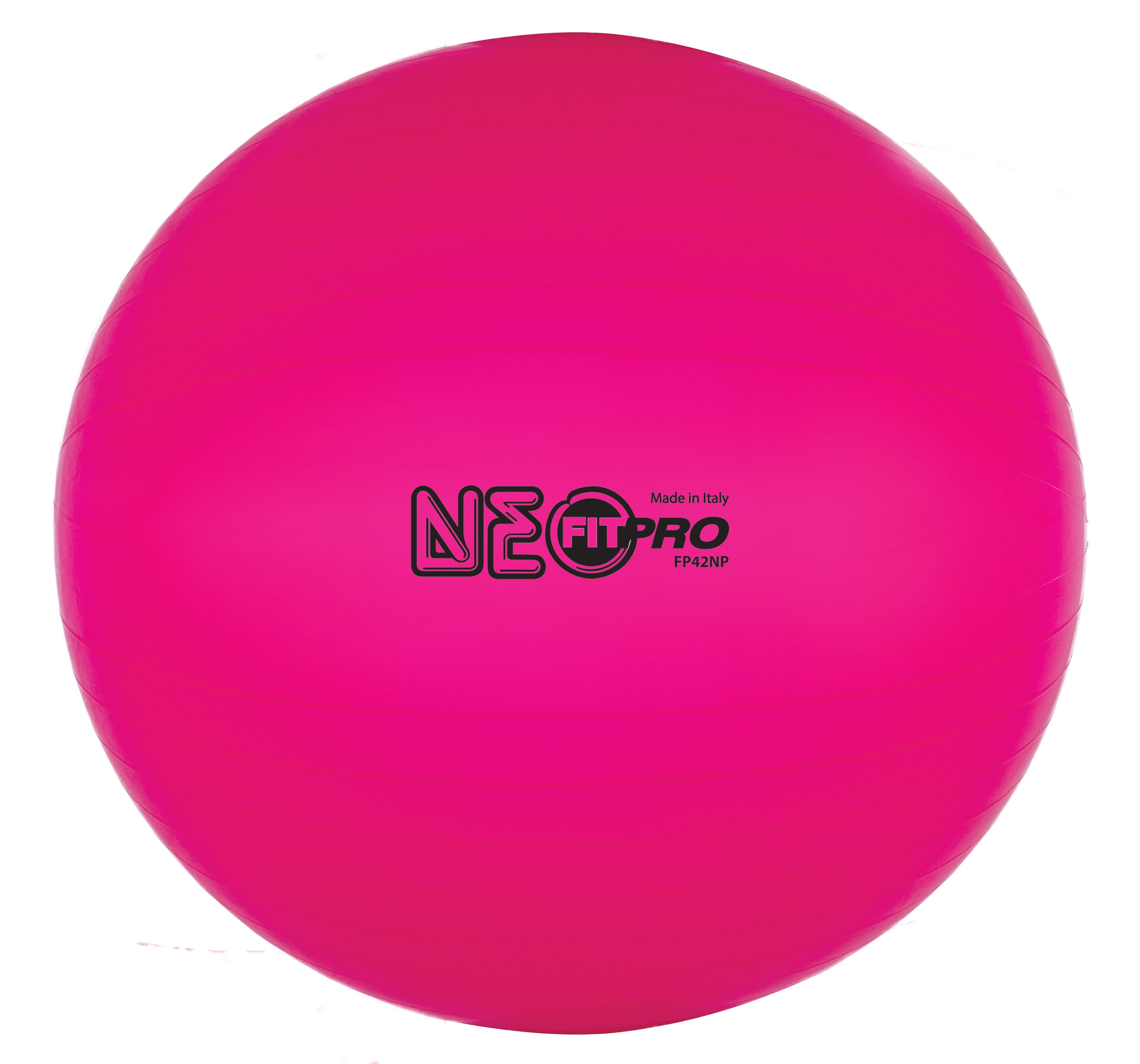Champion Sports 42 cm Fitpro Training & Exercise Ball - Walmart.com
