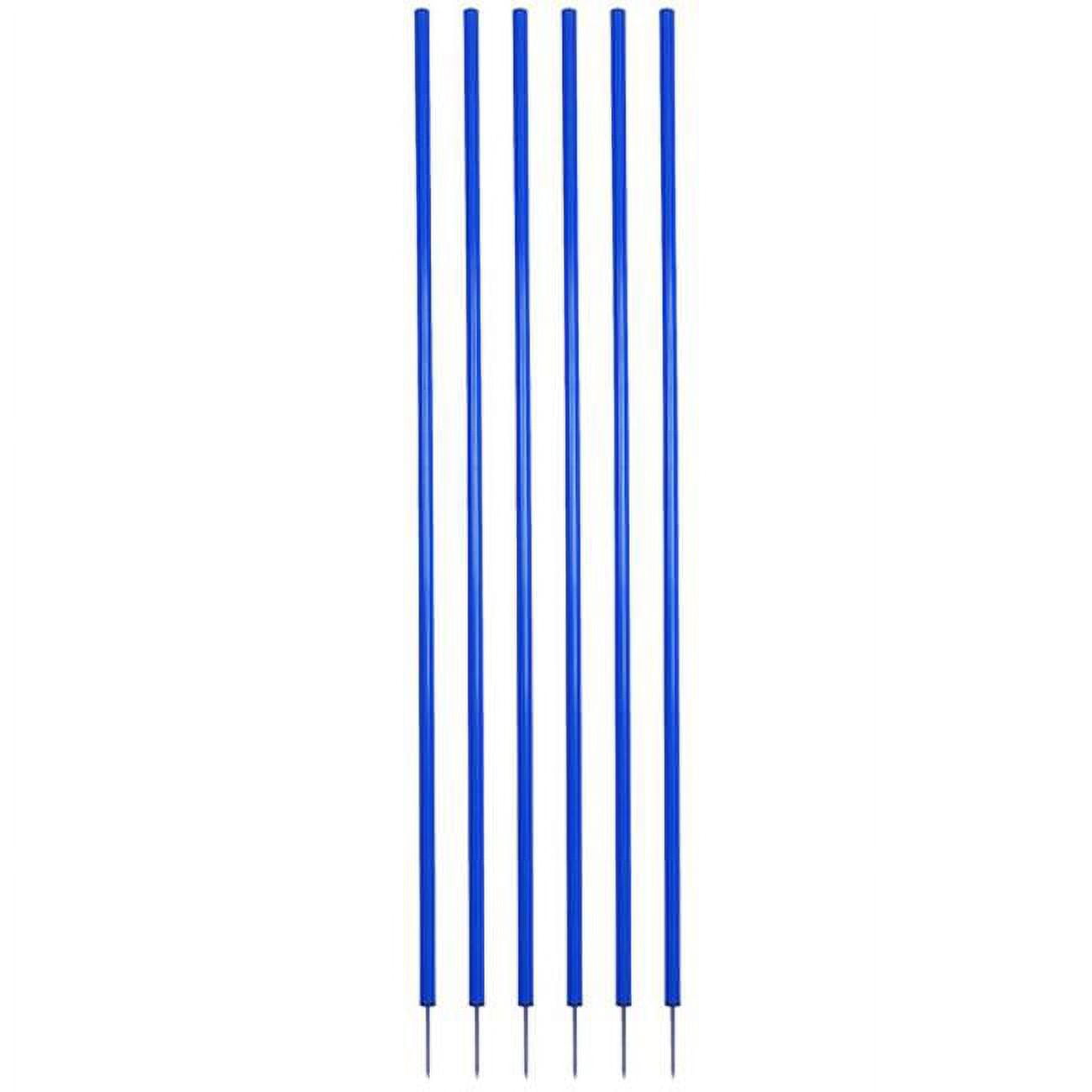 Champion Sports Coaching Stick Set Royal Blue - Set of 6 - Walmart.com