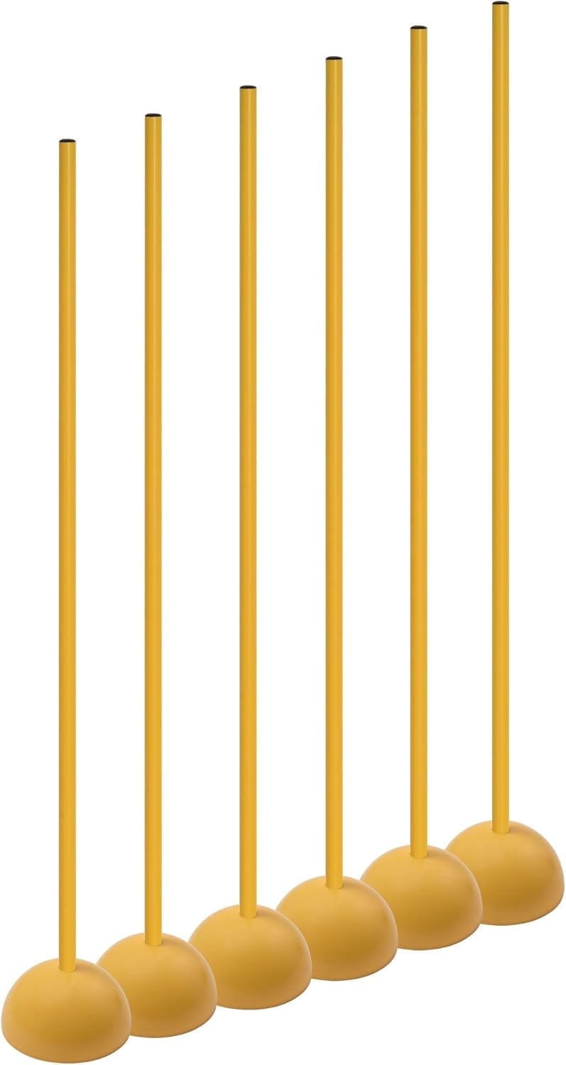 Free Shipping! Champion Sports Coaching Sticks With Base - Walmart.com ...