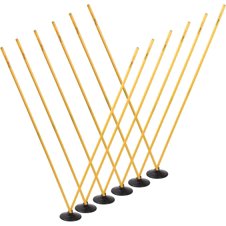 Strippers Pole
