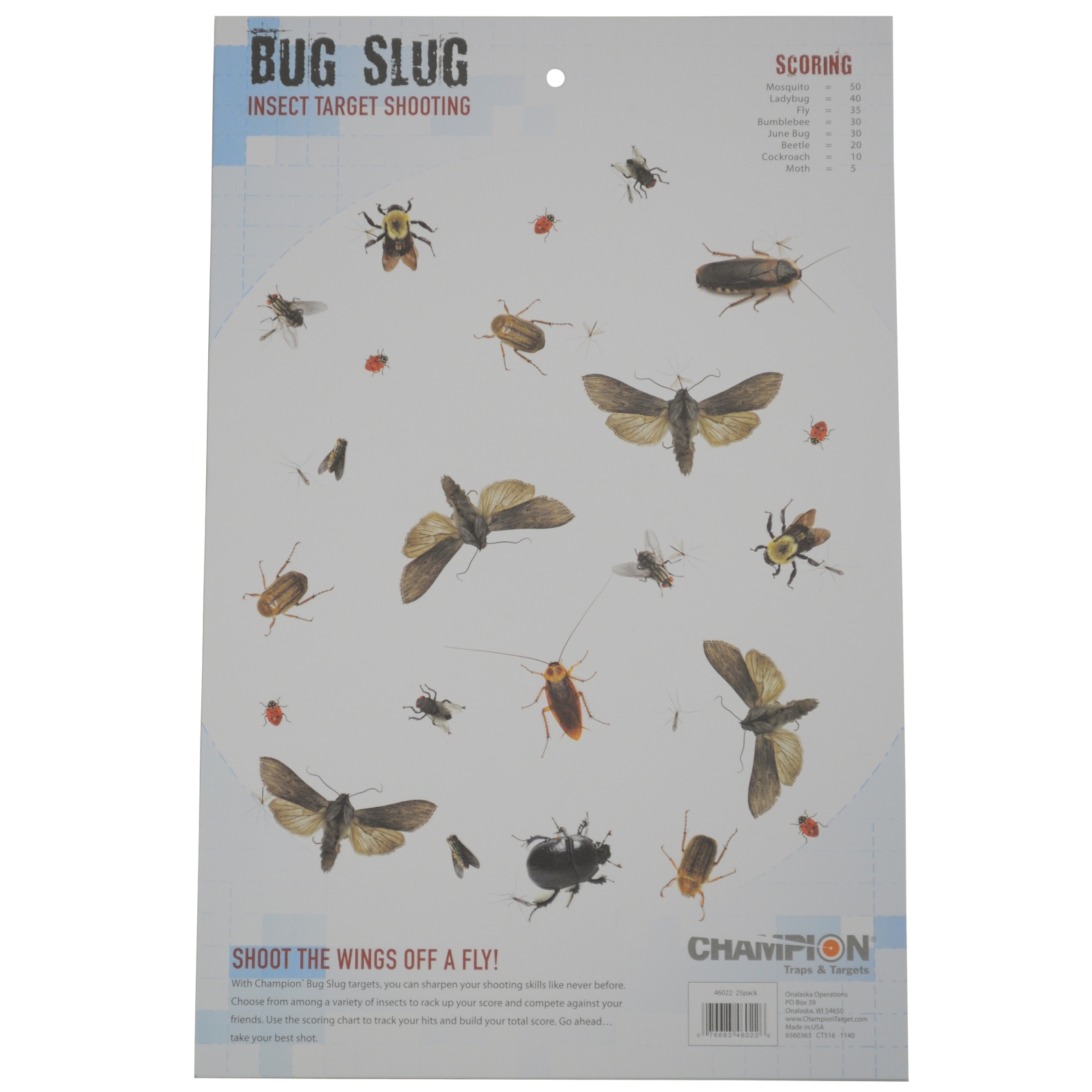 Champion Traps and Targets Bug Targets - Walmart.com