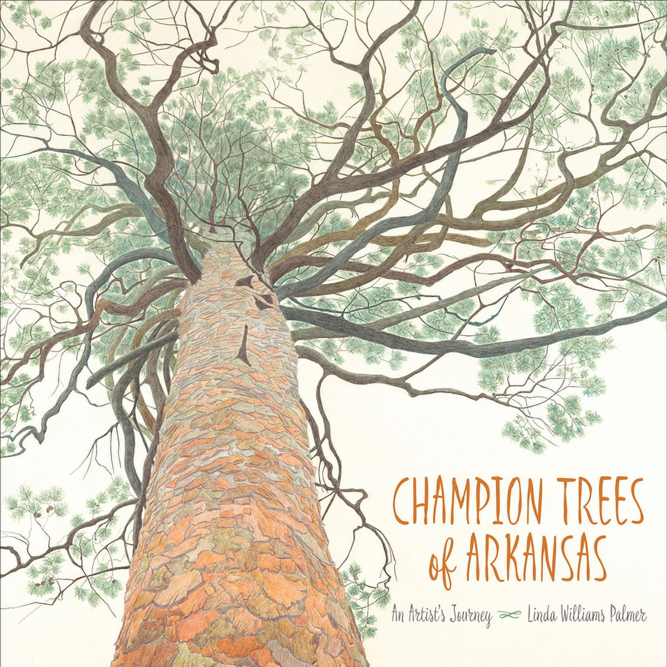 Champion Trees of Arkansas : An Artist's Journey (Hardcover) - Walmart.com