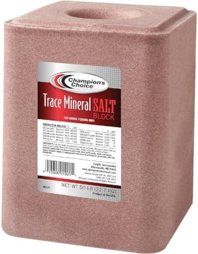 Champions Choice Salt Block For Cattle - Walmart.com