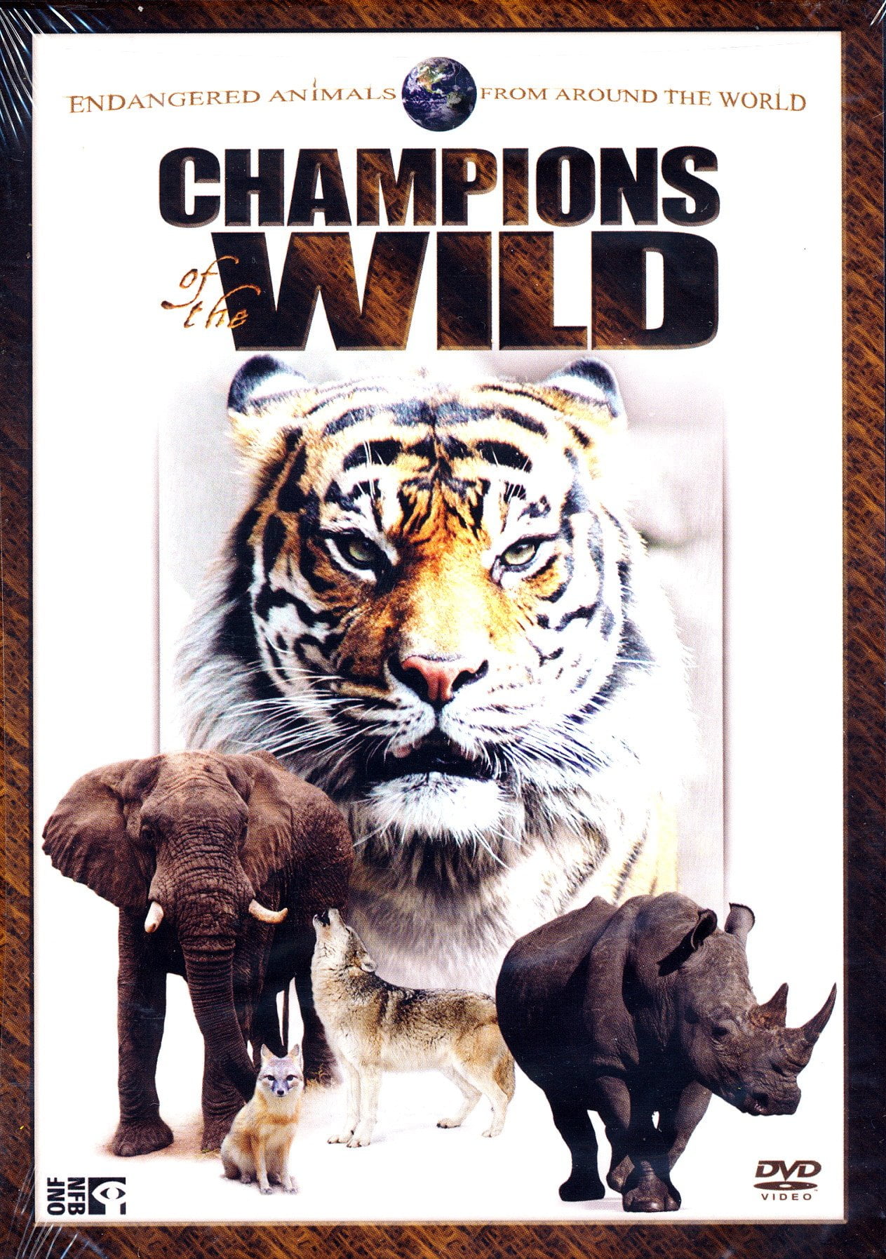 Champions of the Wild: Black & White Rhino/Elephants/Kenyan Wildlife ...