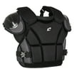 Rawlings UGPC Umpire's Chest Protector | Black | Adult - Walmart.com