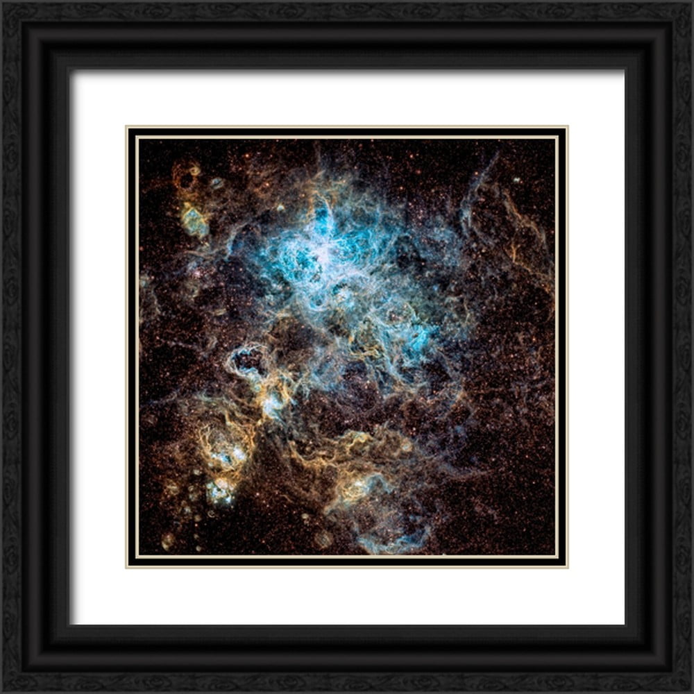 Chander, Vikas 26x26 Black Ornate Wood Framed with Double Matting ...