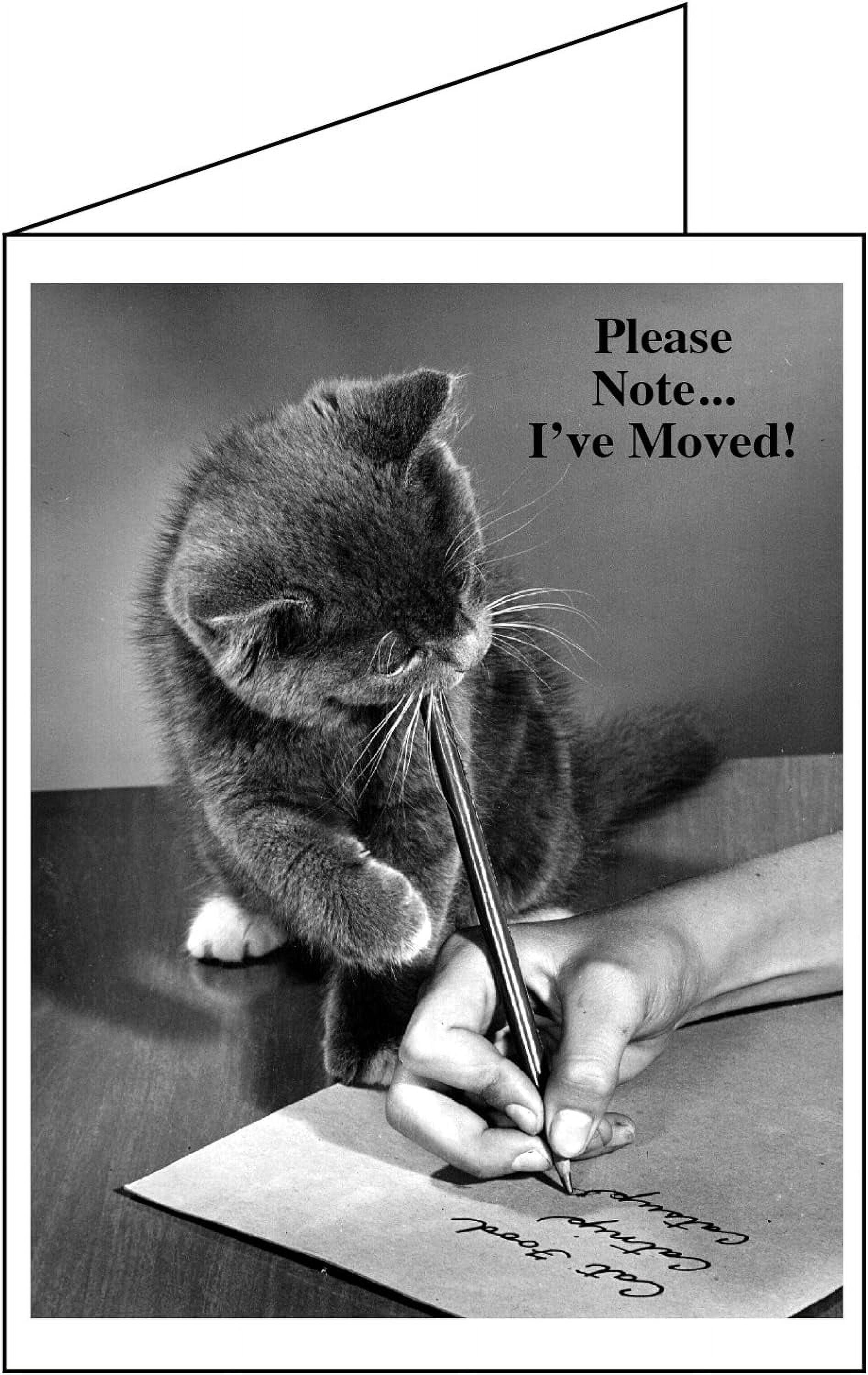 Change of Address GREETING CARDS, I've Moved! (Pack of 10 Cards & 10 ...