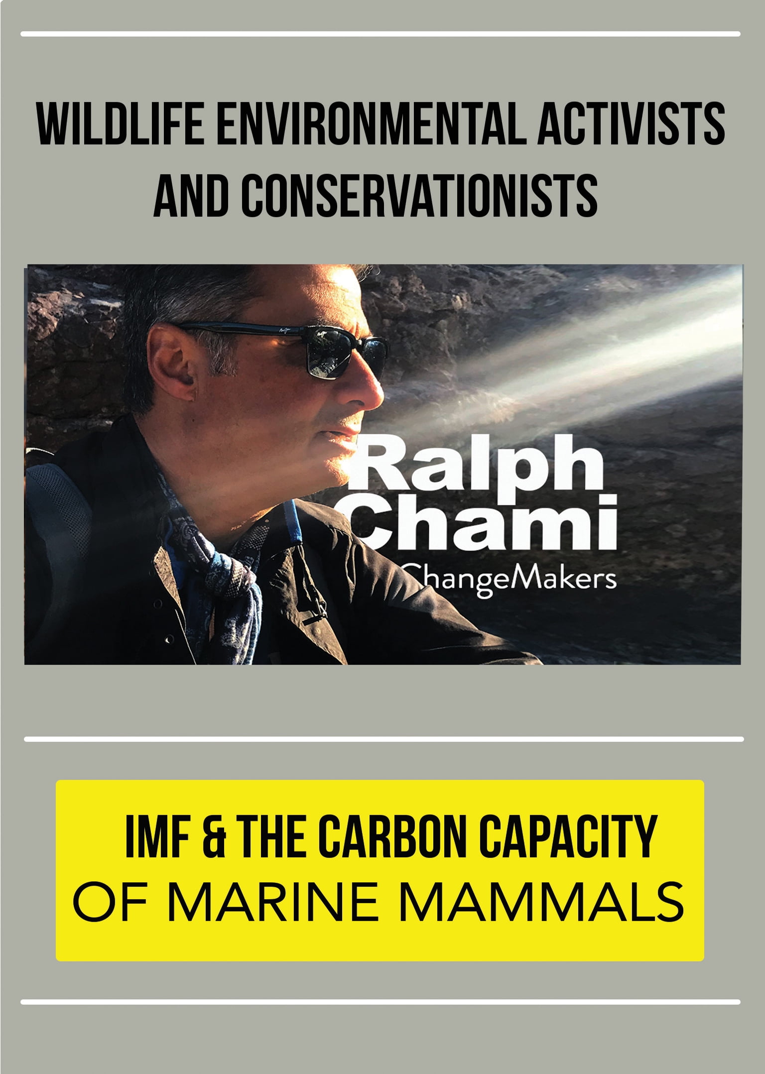 ChangeMakers Ralph Chami: IMF & The Carbon Capacity of Marine Mammals ...