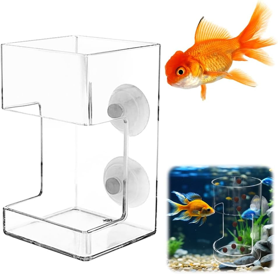 Changmaius Acrylic Suction Cup Fish Feeder, Transparent Clear Aquarium ...