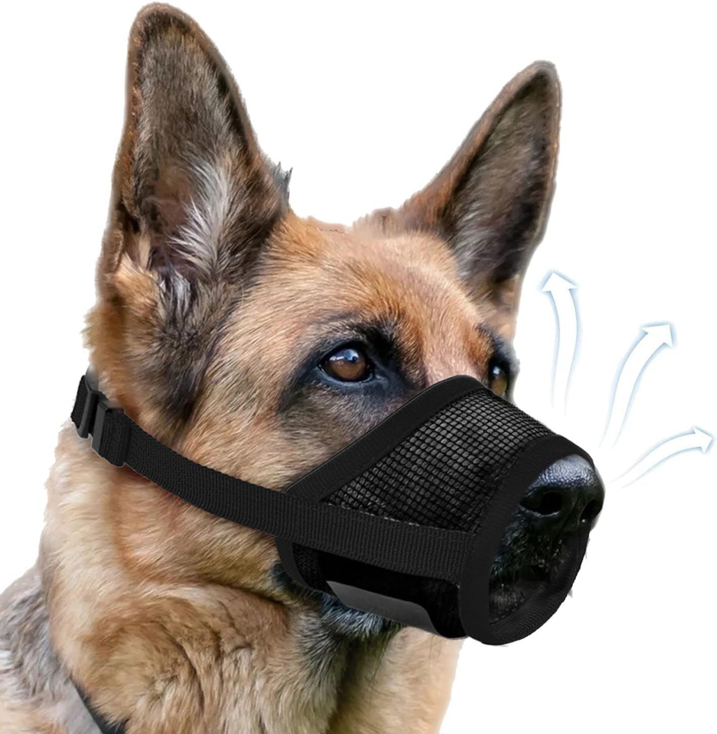 Changmaius Anti-Scavenging Dog Muzzle Cage, Lightweight Mesh Muzzle for ...