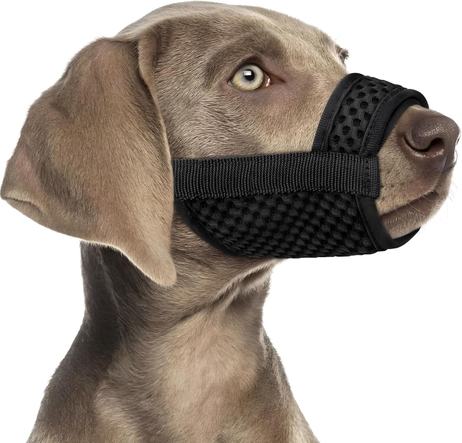 Changmaius Breathable Dog Muzzle with Vision-Friendly Design, Soft ...