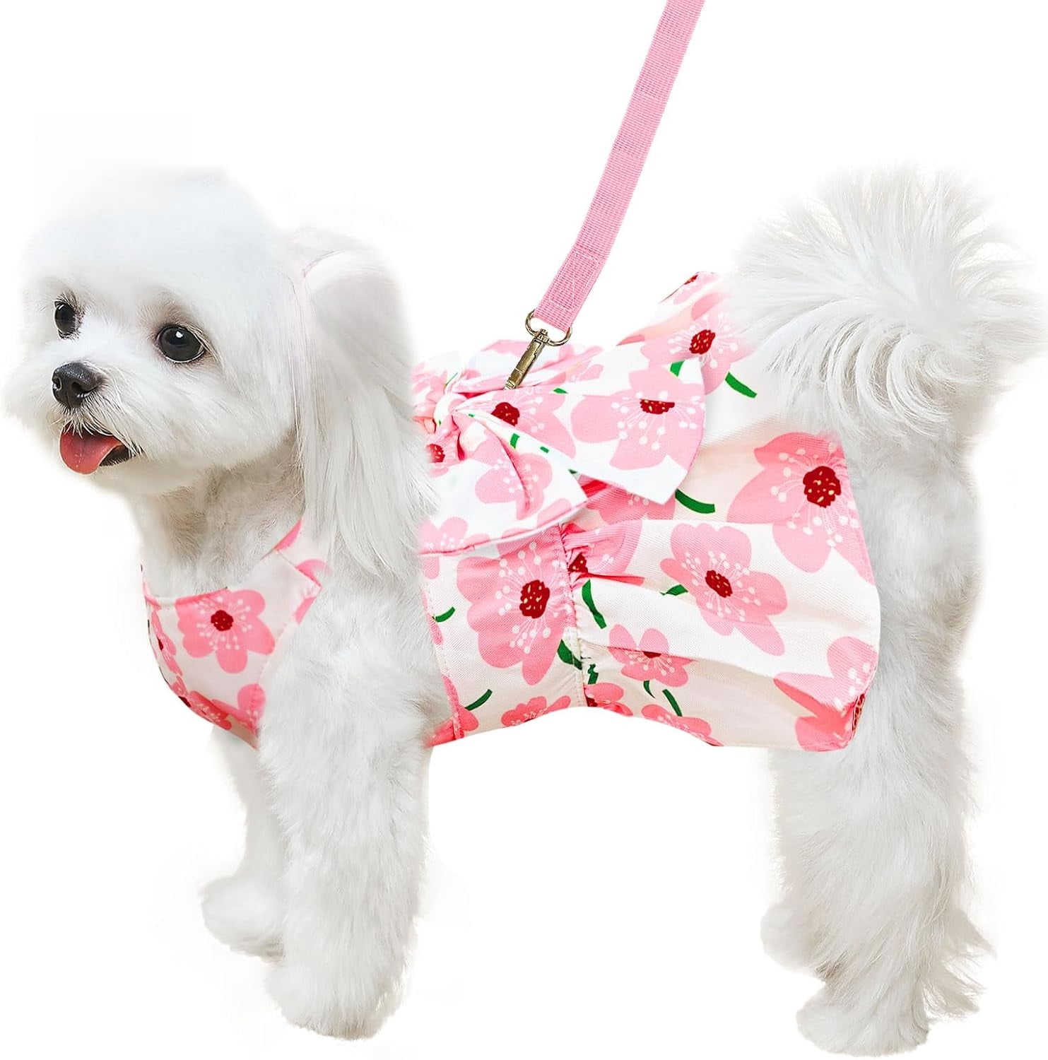 Changmaius Cute Dog Dress with Breathable Mesh & Leash Set – Pink ...
