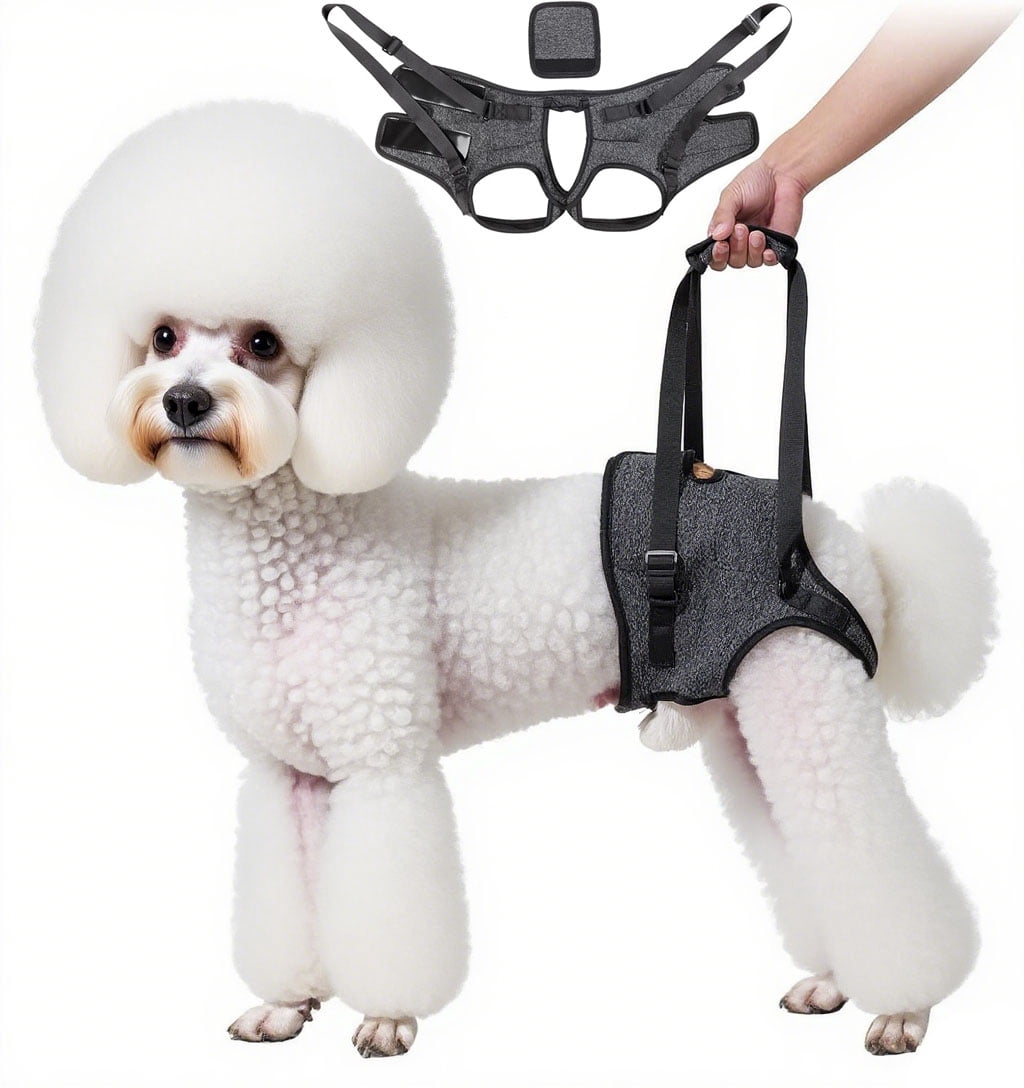 Changmaius Dog Lift Harness, Dog Sling for Medium Large Dogs ...