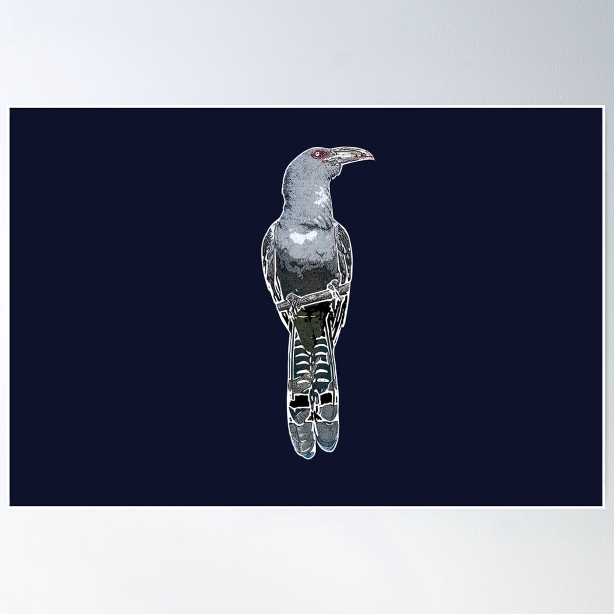 Channel-Billed Cuckoo White Alternate Design Poster Wall Art, Modern ...