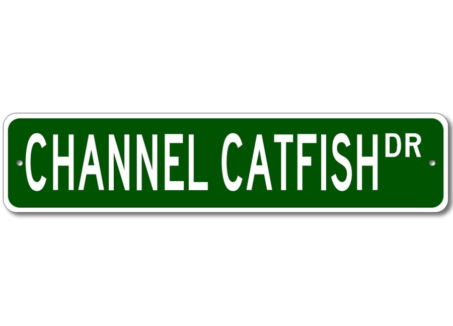 Channel Catfish Fish Sign Metal Wall Decor Fishing Street Sign Size: 4 ...