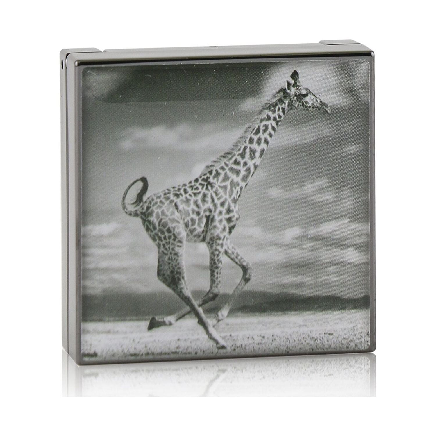 Chantecaille Luminescent Eye Shade - Giraffe - Walmart.com