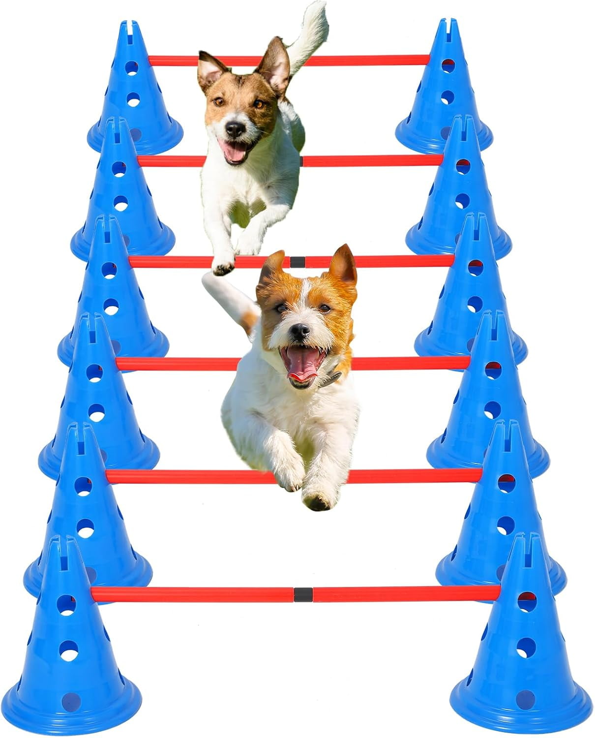 ChaoLink Dog Agile Hurdle Cone Set,Puppy Agile Training Hurdle 12 Cones ...