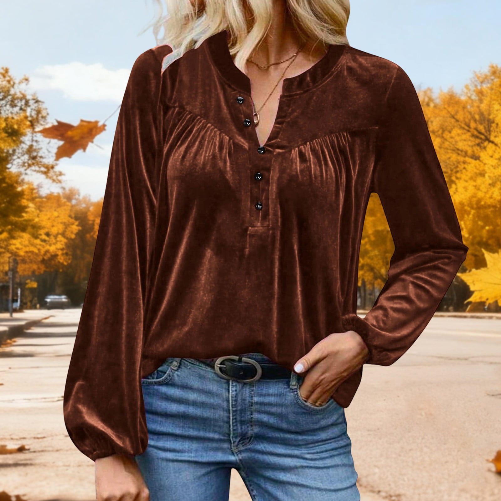 Chaoheng Ladies Long Sleeve Blouses Women's Velvet V-Neck Shirt Long ...