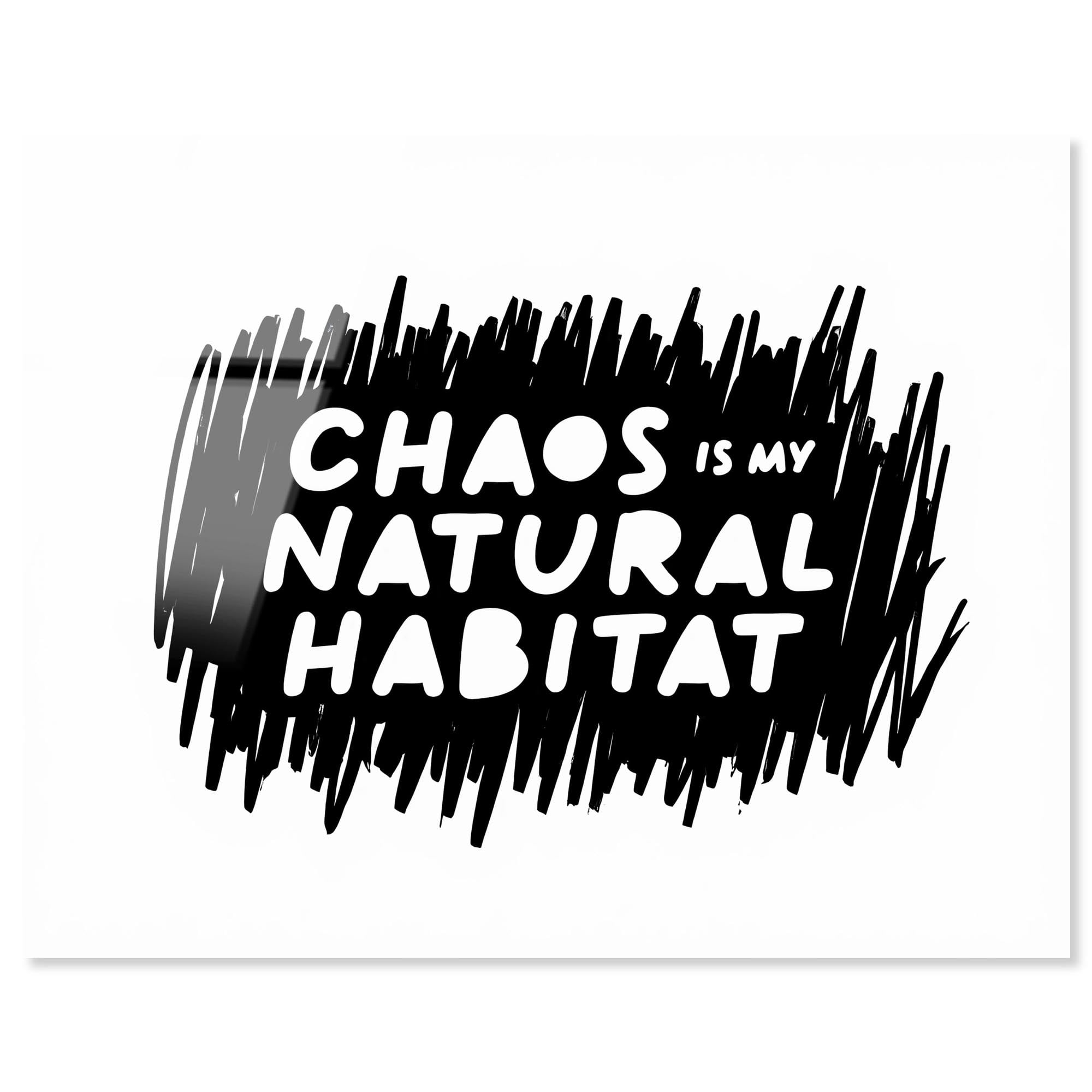Chaos Core Acrylic Print Fun Quotes by Art Remedy, Ready to Hang, 20 x ...