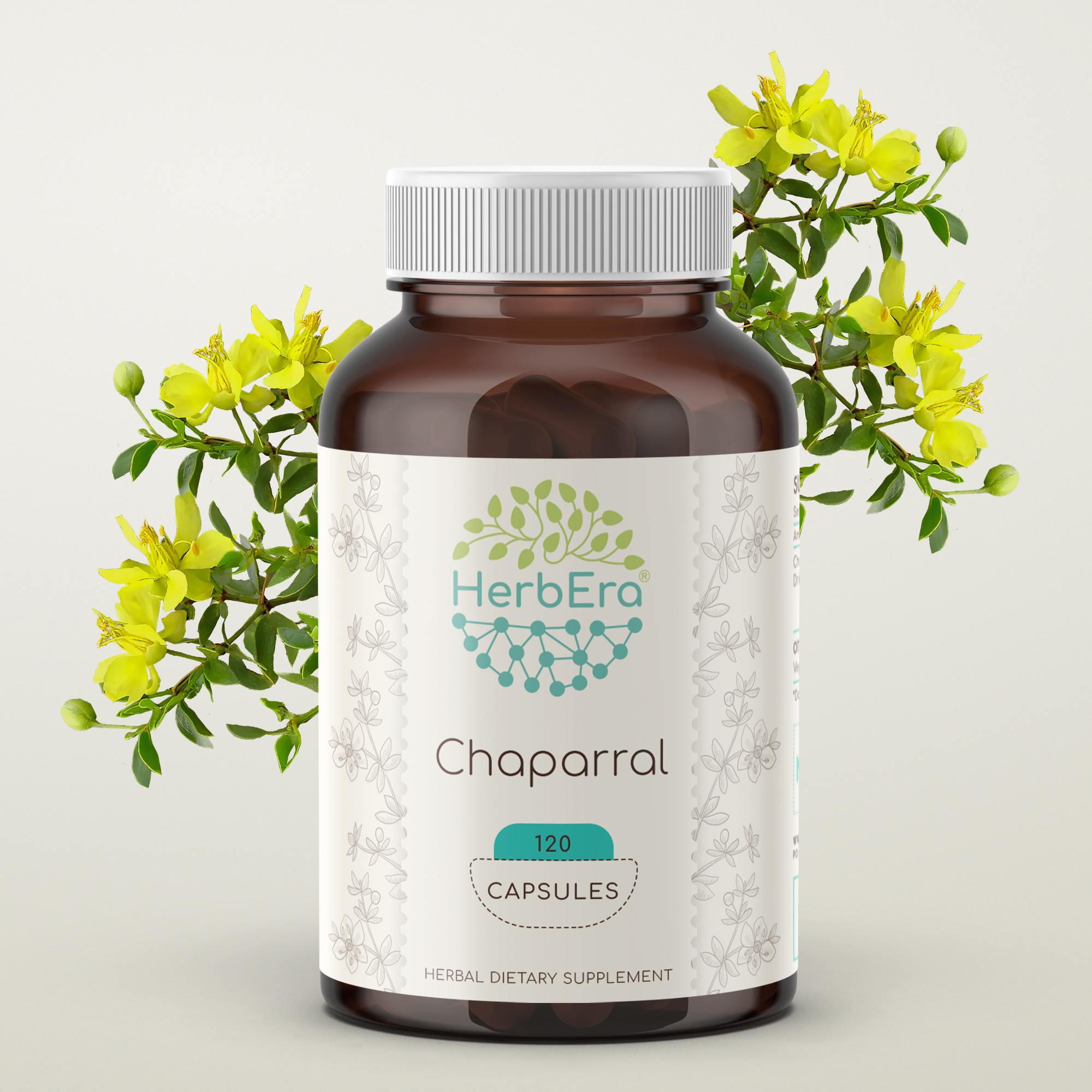 Chaparral 120 Capsules, 500 mg, Organic Chaparral (Larrea tridentata ...