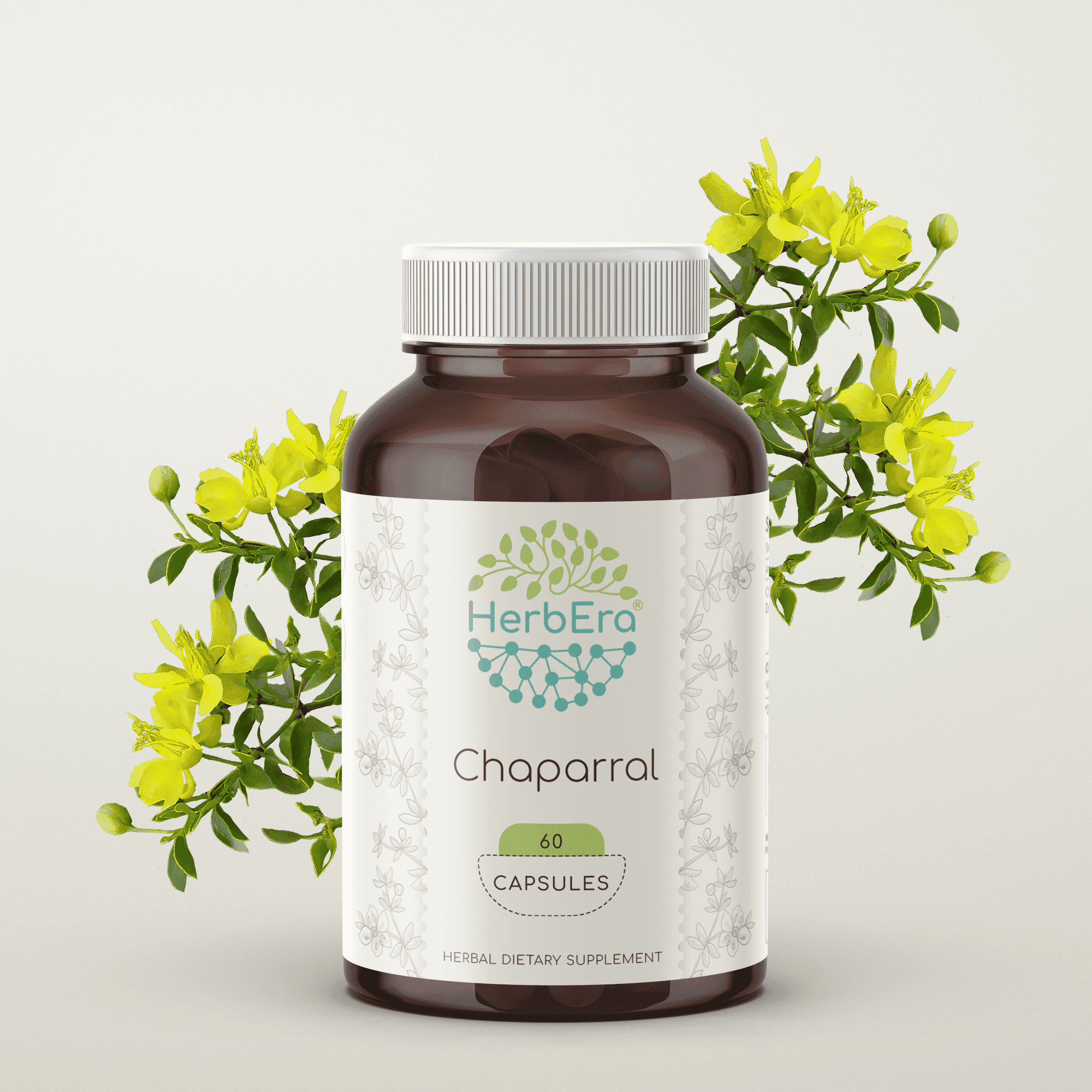 HerbEra Chaparral Capsules, Herbal Dietary Supplement for Detox Support ...