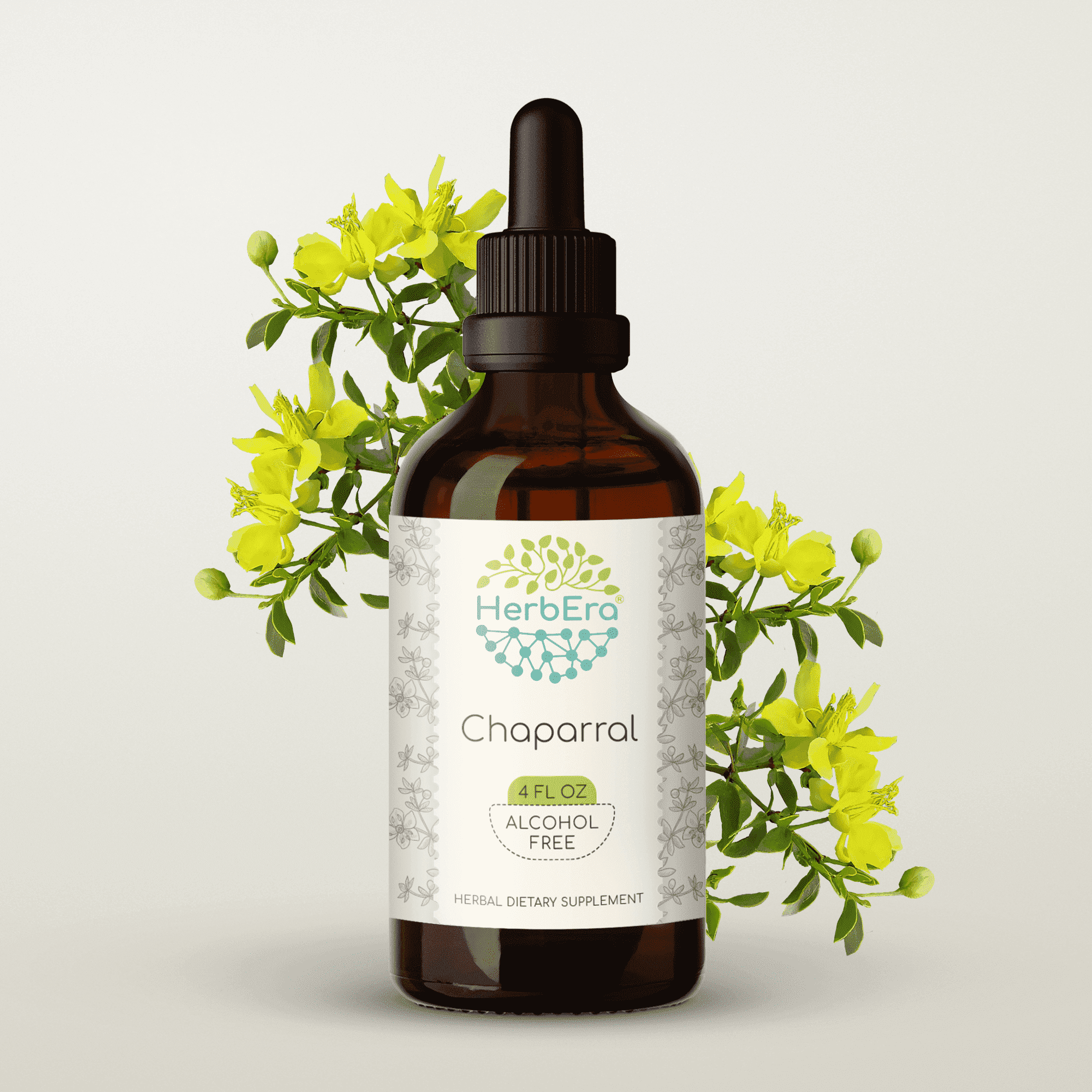 HerbEra Chaparral Tincture, Herbal Dietary Supplement for Detox Support ...